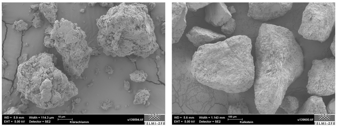 Multiphase Flow Model - FlashPhos